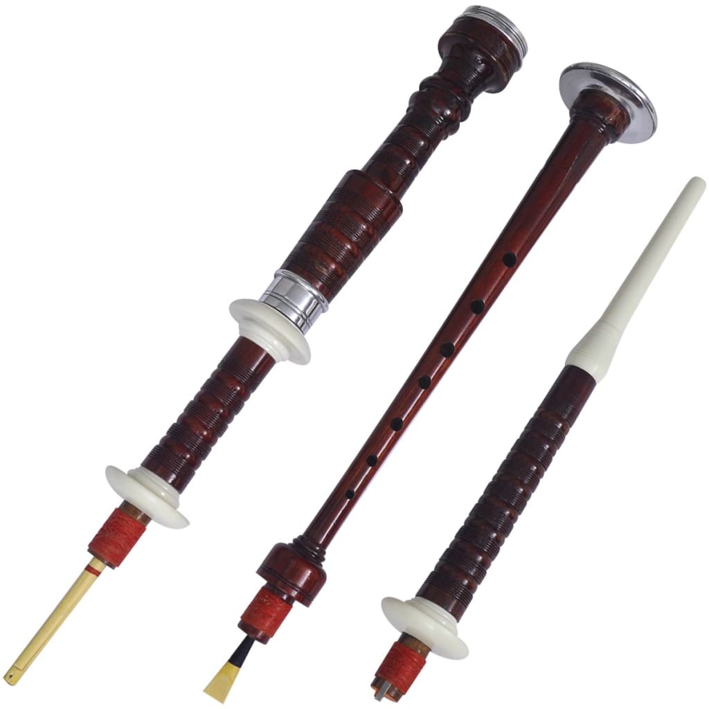 vidaXL Cornemuse écossaise Great Highland Tartan rouge Royal Steward ...