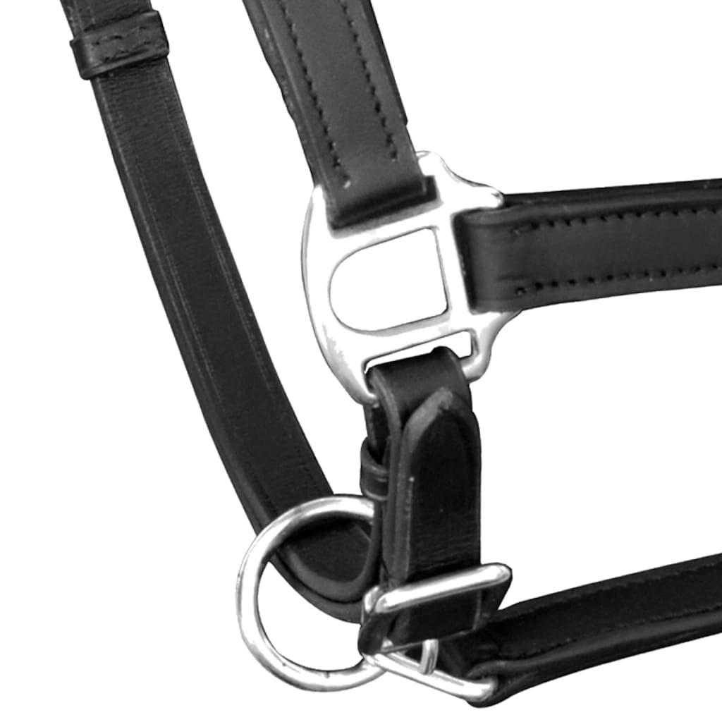 Licol Licou en cuir réglable pour écurie Cheval Noir | vidaXL.fr
